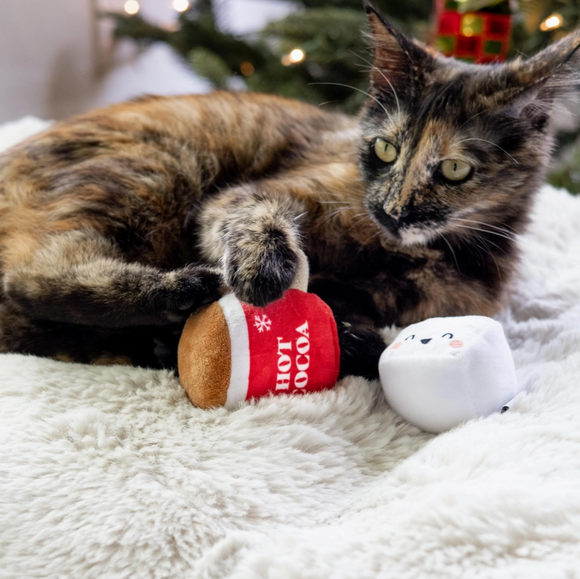 Hot Cocoa Cat Toy Set – Purrs and Whiskers